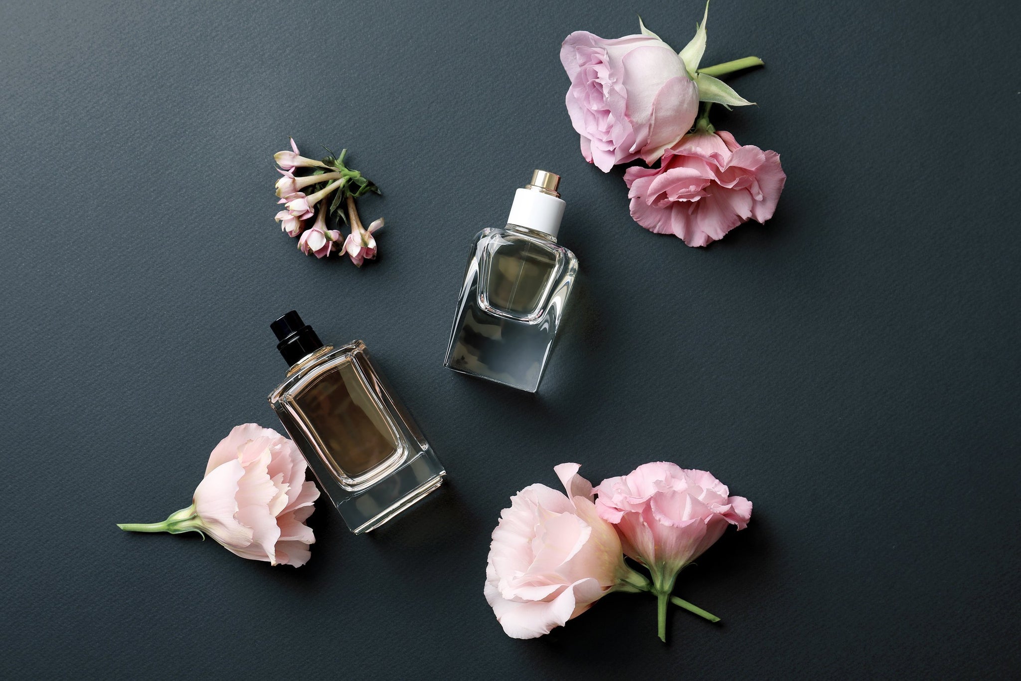 The Ultimate Guide to All Perfume Types [2021]