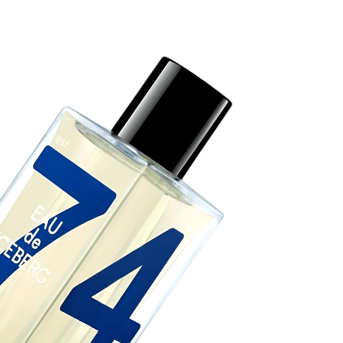 Shop Iceberg Eau De Iceberg 74 Cedar For Him EDT | My Perfume Shop