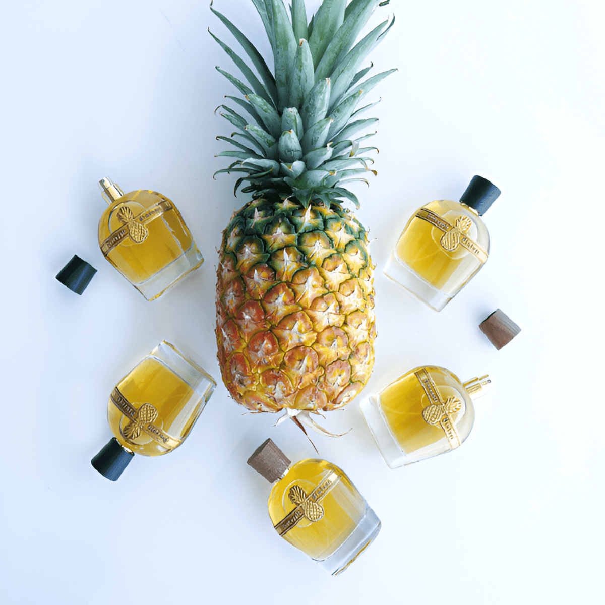 Shop Parfums Vintage Pineapple Vintage Beyond Noir EDP